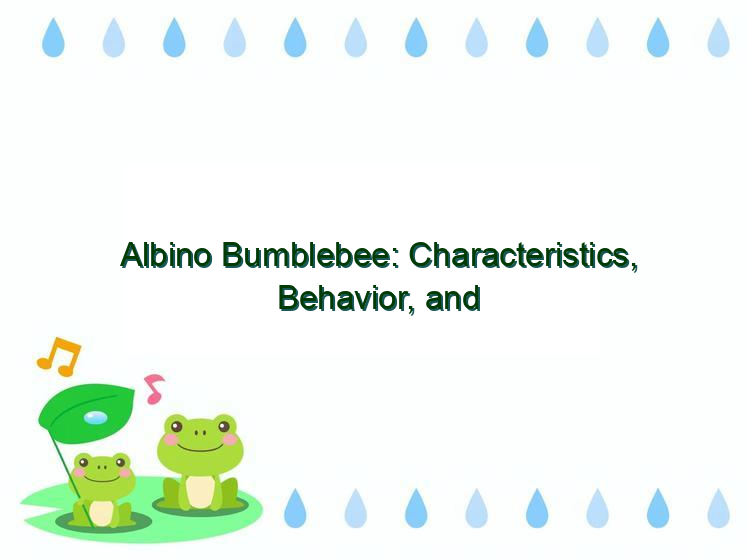 Albino Bumblebee: Characteristics, Behavior, and Habitat - Vital Frog