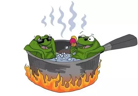 Effects of Salt on Frogs: Can Salt Kill Them? - Vital Frog