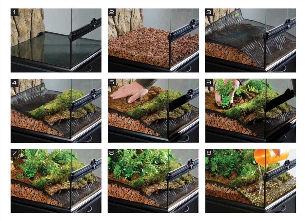 Drainage Layer Terrarium - Vital Frog
