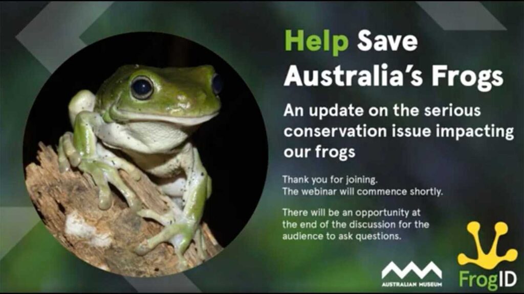 Save a Frog from Dying: Effective Tips and Techniques - Vital Frog