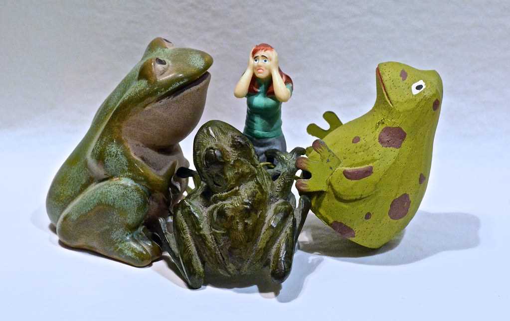 What is the Fear of Frogs Called? - Vital Frog