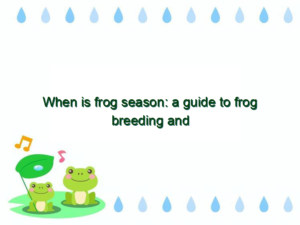 When is frog season: a guide to frog breeding and migration - Vital Frog